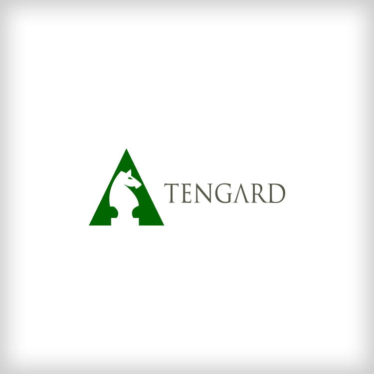 Company Update Archives ｜ TENGARD Holdings Limited